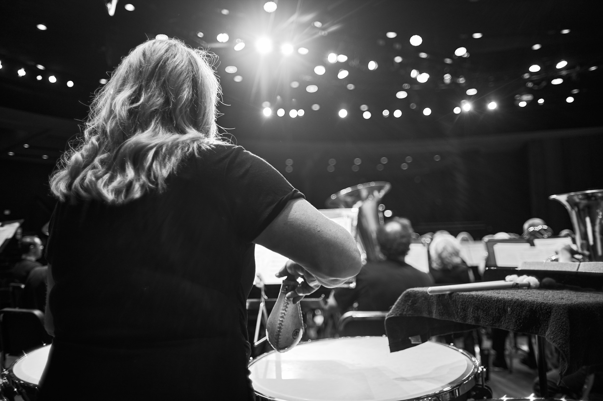 MSW Board – Minnesota Symphonic Winds